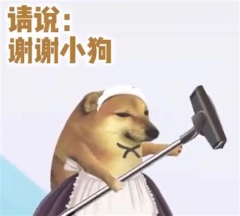 沙雕表情包 高清图片，堆糖，美图壁纸兴趣社区