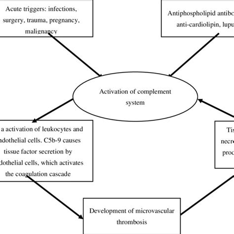 The Fenton Redox Reaction Ferrous Iron Fe Reacts With Hydrogen Download Scientific