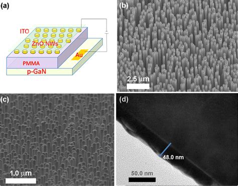 Schematic Structure And Material Properties Of The Zno Nwsgan