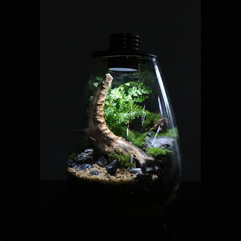 Bioloark Bio Bottle Mini Terrarium Wabikusa Garnelen Guemmer