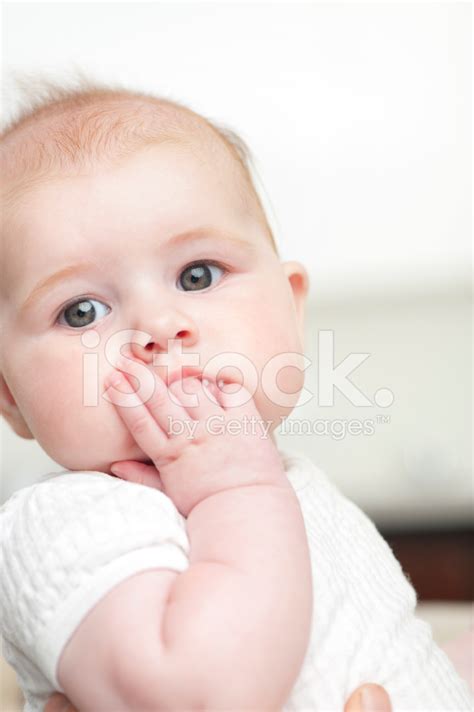 Baby Sucking Her Fingers Stock Photo Royalty Free Images Freeimages