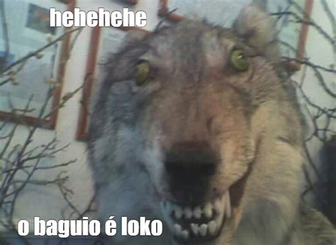 Meme Hehehehe O Baguio é Loko All Templates Meme