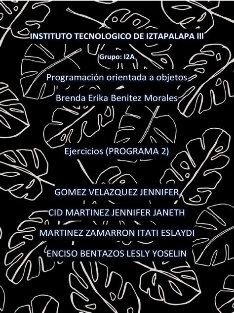 Programacion Orientada A Objetos Pdf Computadoras