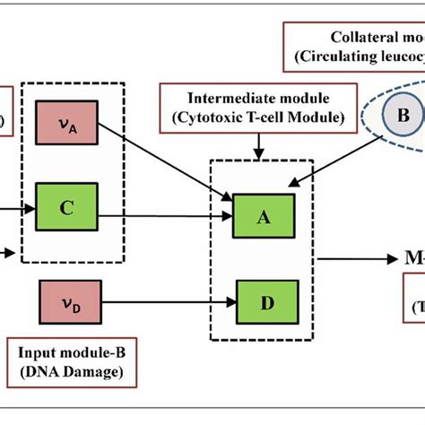 Conventional Treatment Protocol Using Chemotherapy And Immunotherapy