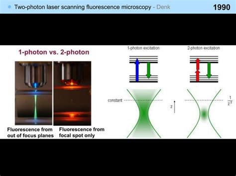 Tissue Clearing Field Overview Pptx