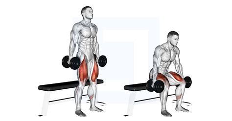 Reverse Plank Guide Benefits And Form