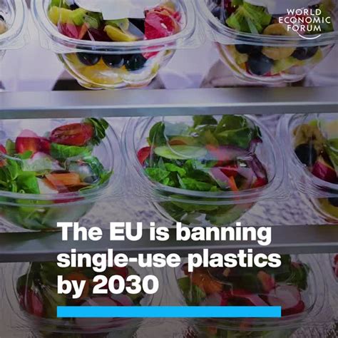 Agnes Dittmar On Linkedin Ppwr Sustainable Innovation