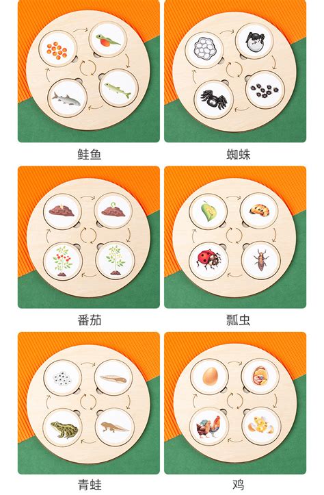 木制蒙台梭利动植物生命周期变化拼图幼儿童启蒙早教玩具蒙氏教具 阿里巴巴