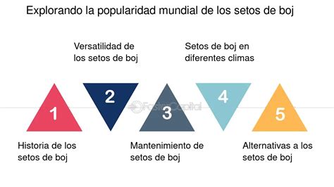 Camino De Entrada Con Seto De Boj