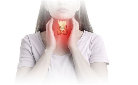 Thyroid Care Program Claudias Concept