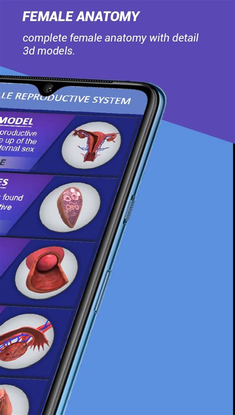 Female Reproductive System App Apk For Android Download