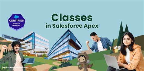 What Are Classes In Apex Programming