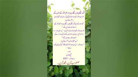 لوگ ننگے پاؤں ننگے بدن اور بغیر ختنہ کے ہوں گےقیامت کے دن لوگ ننگے پاؤںننگے بدن اور بغیر