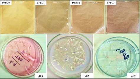 Fabrication And Characterization Of A Ph‐sensitive Intelligent Film