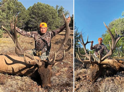 A Once In A Lifetime Bull Elk Hunt On The Fort Apache Indian