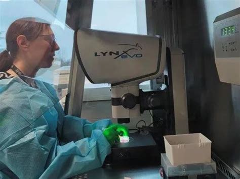 Lynx Evo助力提升干细胞研究 Vision Engineering 应用中心 上海百翱杰生物科技有限公司