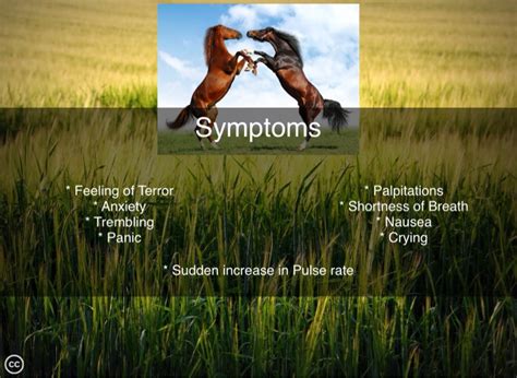 Hippophobia Screen 2 On Flowvella Presentation Software For Mac