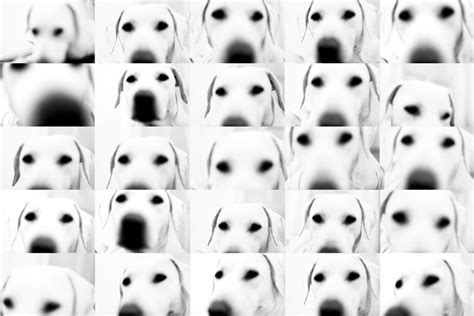 Close Up By Nora Lezano