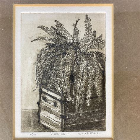 Sarah Rishel Etching Print Boston Fern 10 25 Etsy