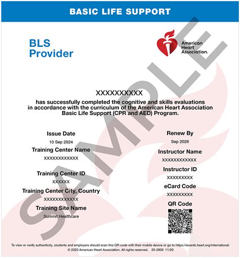 Summit Healthcare Course Detail