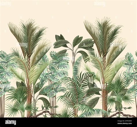 Border With Different Palm Trees Tropical Vector Stock Vector Image