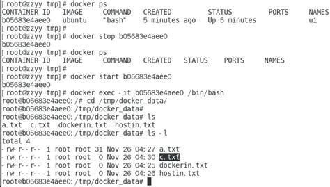 尚硅谷docker实战教程 笔记06【docker容器数据卷】 尚硅谷3小时速通docker 视频中的文字 csdn博客