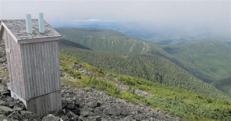 Stephanie Brisson Aboutme