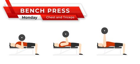 3 Month Muscle Building Workout