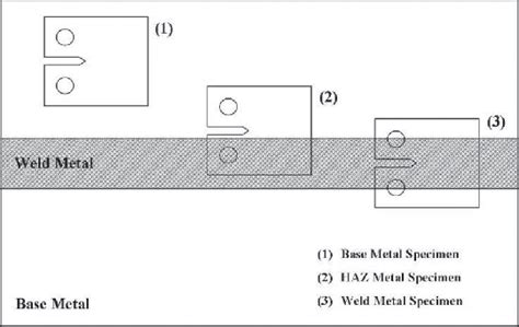 Schematic View Of Specimen Sampling Download Scientific Diagram