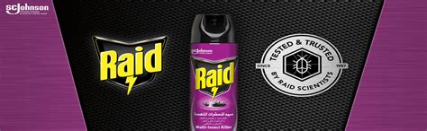 Raid Multi Insect Killer Spray For Home Powerful Formula And Instant