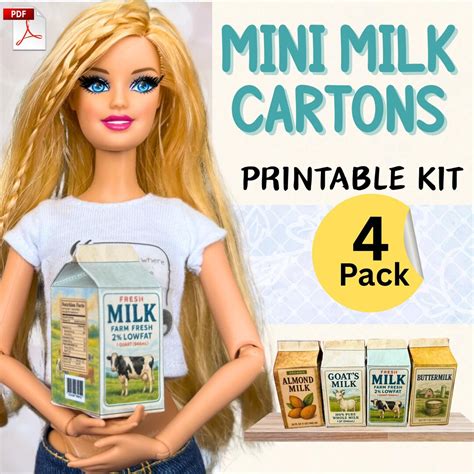 Mini Milk Cartons Fooddrinks For Barbie Doll 16 Scale Miniature