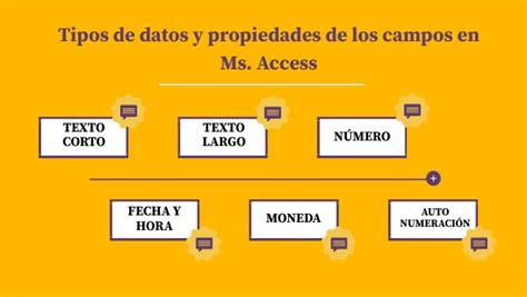 Tipos De Datos Y Propiedades De Los Campos En Ms Access Genially