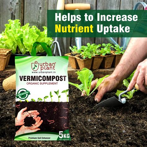 Buy Pure Vermicompost At Affordable Price Organic Fertiliser Urban Plant