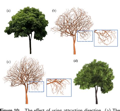 Figure 10 From Single Image Tree Reconstruction Via Adversarial Network