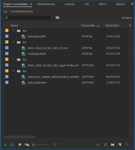 organizing assets in the premiere pro project panel