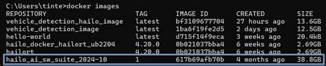 Convert Onnx Model To Hef With Docker Dylan Tintenfich