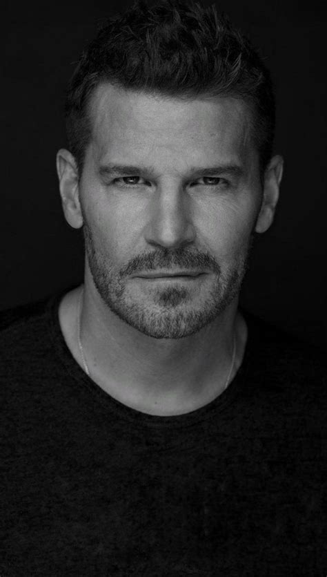 David Boreanaz David Boreanaz David Boreanaz Angel Seeley Booth