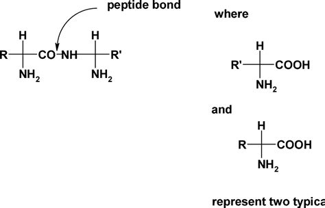 Figure 11 From Synthesis And Biological Evaluation Of Indoleamine 2 3