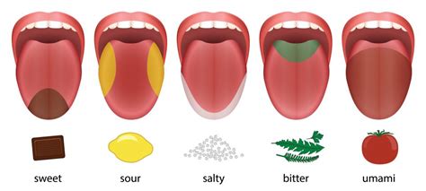 To Taste