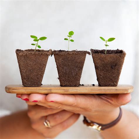 Performance Vs Passion Vs Purpose By Bereket Tolcha Medium