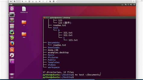 01 linux基础 34 拷贝和移动命令 06 mv命令移动文件或者目录 youtube