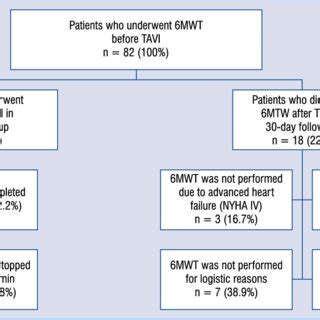 Six Minute Walk Test 6mwt Results Download Table