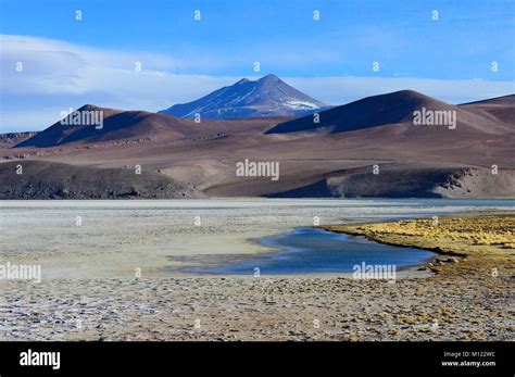 Laguna Santa Rosa Mit Den Vulkanen Nevado Ojos Del Salado Nationalpark