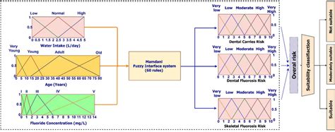 Schematic Diagram Of Fuzzy Inference System For Fluoride Risk Assessment Download Scientific