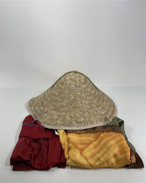 Disney Raya Warrior Costume