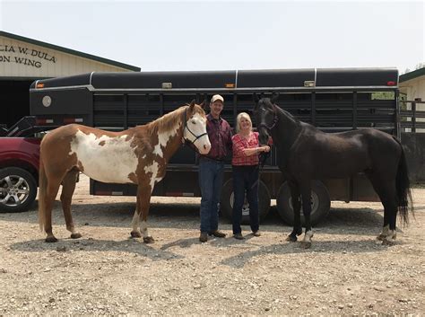 cisco and delicada longmeadow rescue ranch