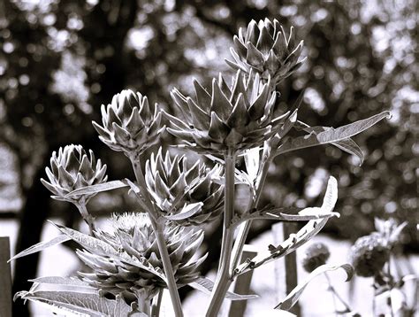 Trish Doyle Trishdoyle • Instagram Photos And Videos