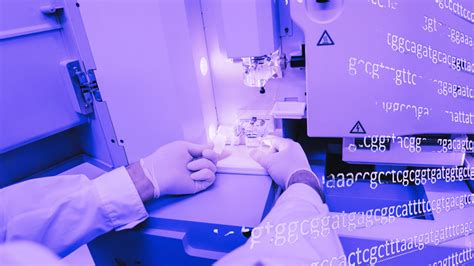 Bioinformática Aplicada A Adn Ceprocor