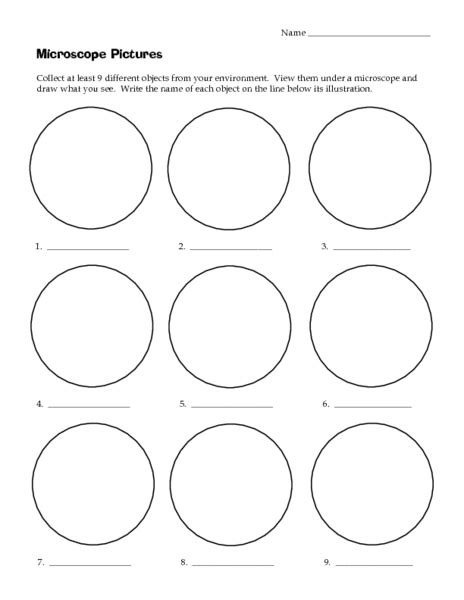 Microscope Pictures Lesson Plan For 5th 6th Grade Lesson Planet