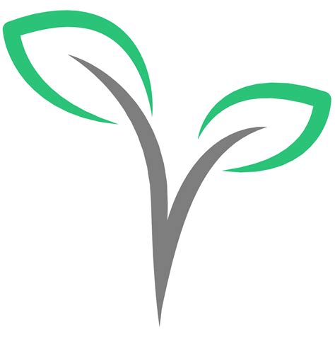 Eczéma Au Cou Signification Remèdes And Explications